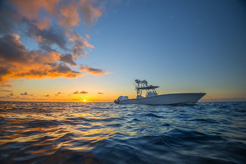 Fat Fish Designz llc