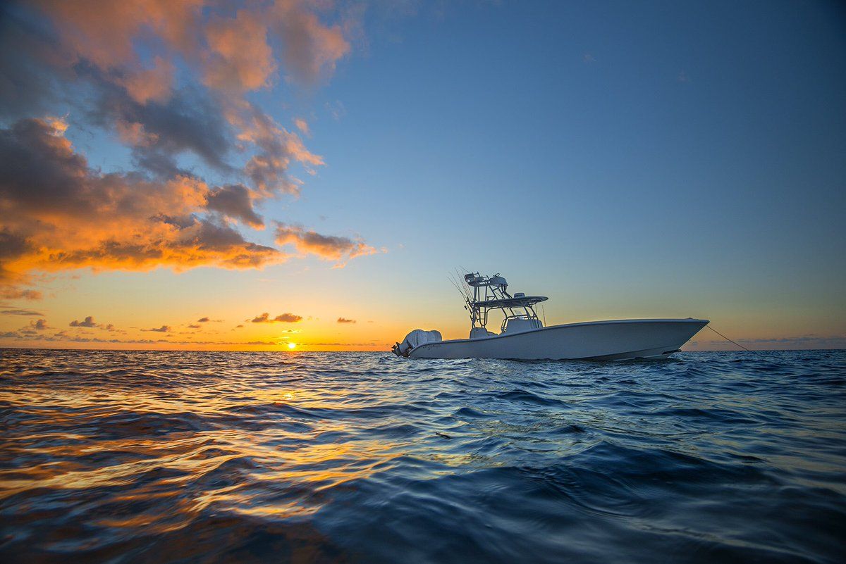 Fat Fish Designz llc