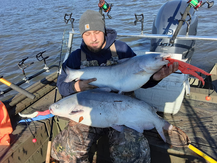 Fat Fish Designz – Fat Fish Designz